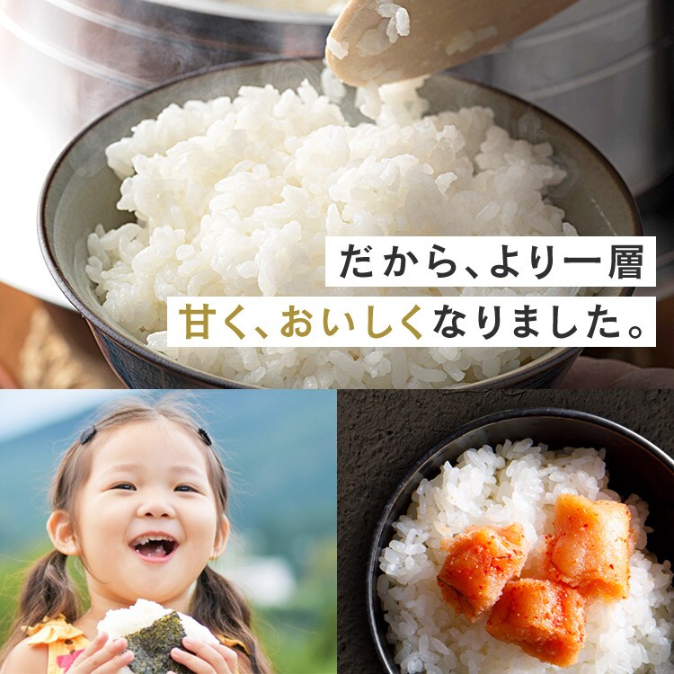 和の輝き 国産ブレンド 10kg 1928032│アイリスオーヤマ公式通販アイリスプラザ