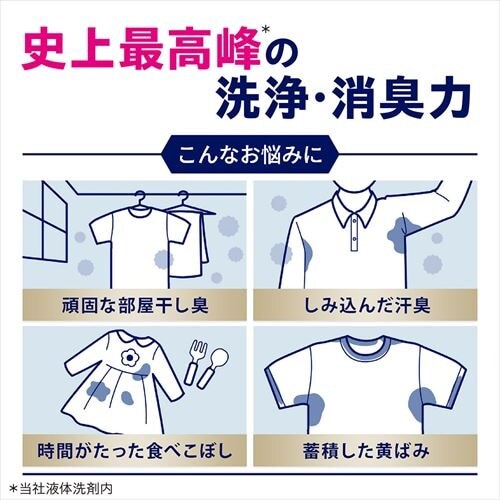 LION NANOXone 本体 380g 640g 7261972