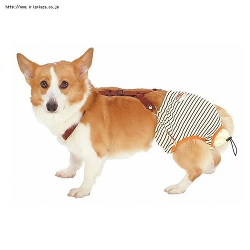 ペティオ（Petio）老犬介護用 おむつパッドK M・L・2L・3Lサイズ【プラザセレクト】 9604575│アイリスプラザ│アイリスオーヤマ公式通販サイト