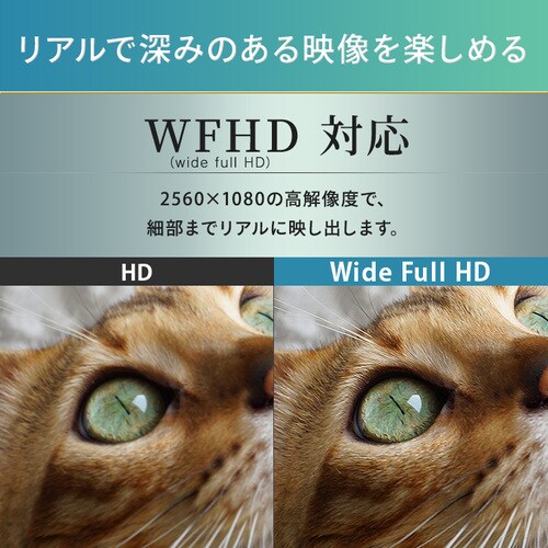 ウルトラワイドモニター 29インチ LUCA ILD-AW29FHD-B H574583