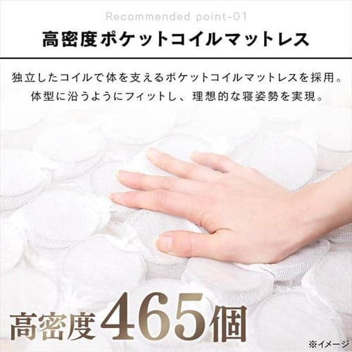 折りたたみ電動リクライニングベッド OTB-PDN ブラック K100373│アイリスプラザ│アイリスオーヤマ公式通販サイト